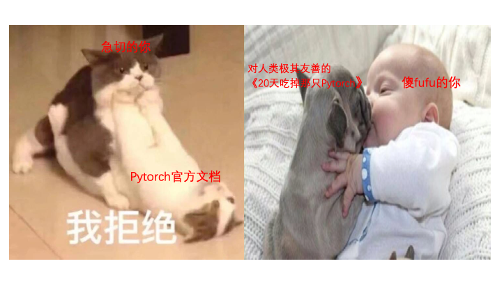 20天吃掉那只Pytorch